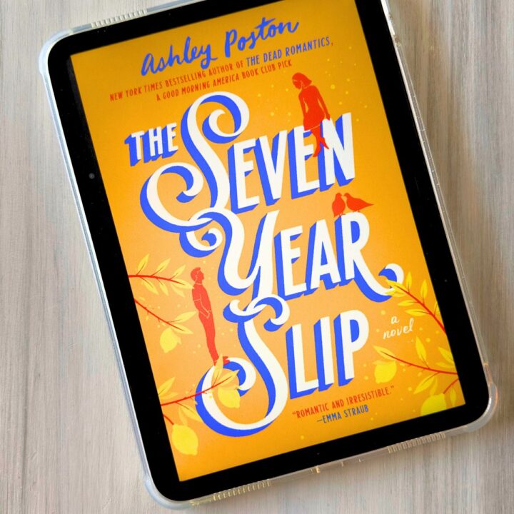 The Seven Year Slip Book Review